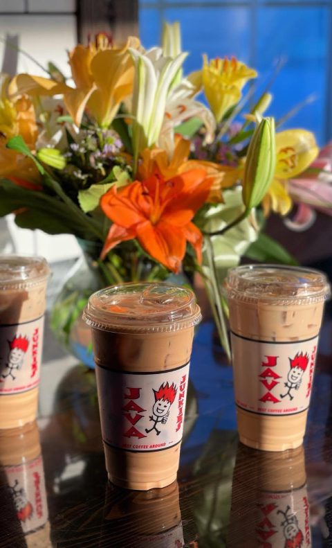 About - Java Junkies